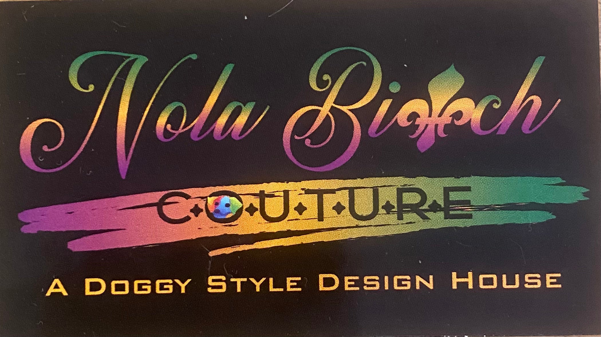 Exclusive to Petcetera (Collars & Leads) – Petcetera NOLA