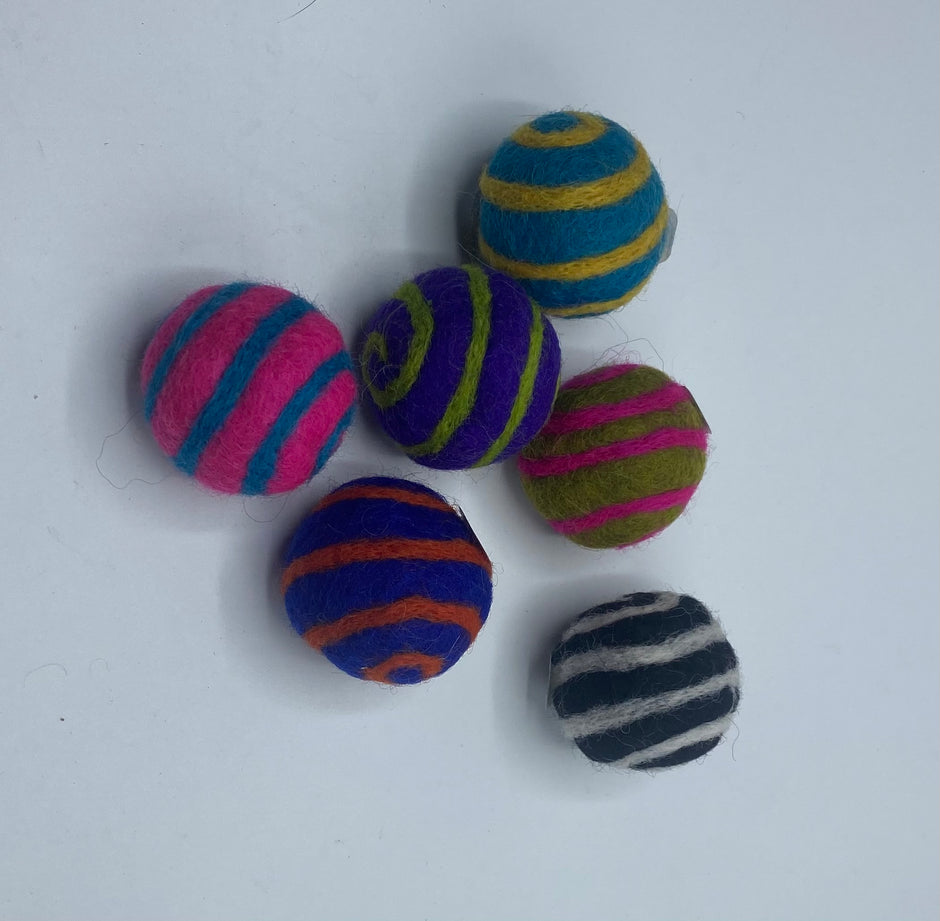 Petcetera NOLA From Head to Tail